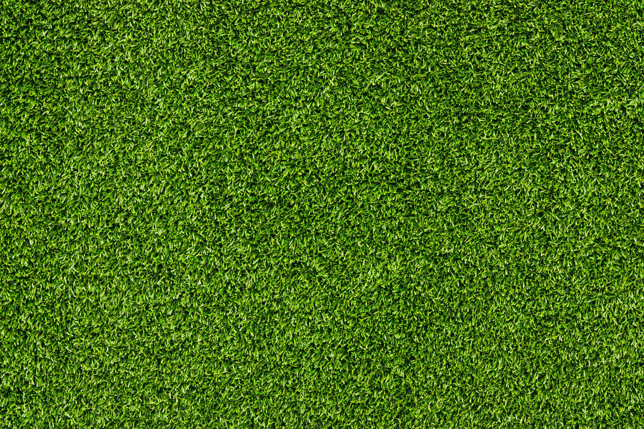 artificial grass and turf background by easygrass | EasyGrass ... artificial grass and turf background by easygrass | EasyGrass ...